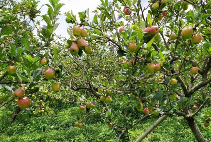 7 Rekomendasi Wisata Hits di Malang, Cocok Buat Healing!